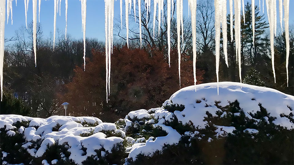 Newsletters - Community Unitarian Universalist Congregation at White ...